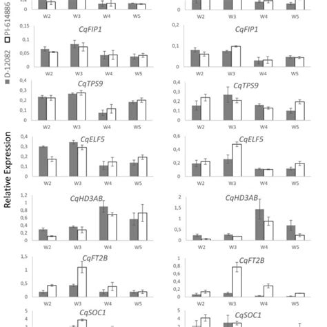 Co Expression Analysis Of Annotated And Novel Non Annotated Degs In