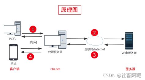 Charles抓包工具实战教程完结 Csdn博客