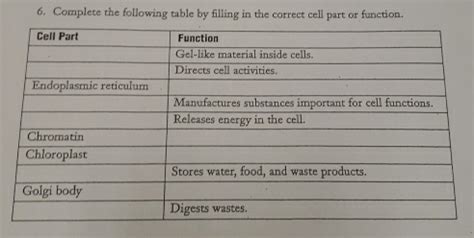 Solved 6 Complete The Following Table By Filling In The Correct Cell