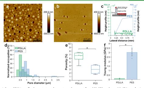 Figure 2 From Porous Polymeric Nanofilms For Recreating The Basement