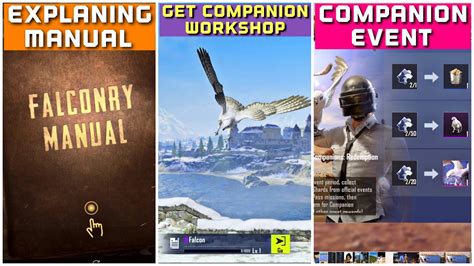 Full Explained Summon Companions Event And Falconry Manual Unlock