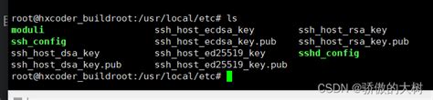 Openssh移植到linux开发板linux开发板移植ssh Csdn博客