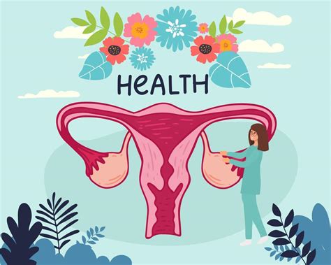 Female Menstrual Cycle Female Doctor Tracking Menstrual Cycle Vector