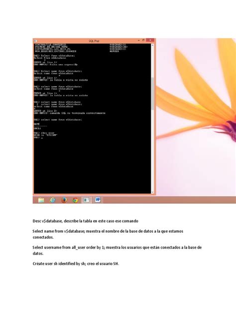 pdf explicacion oracle docx dokumen tips