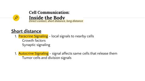 Review The Endocrine System Ppt Download