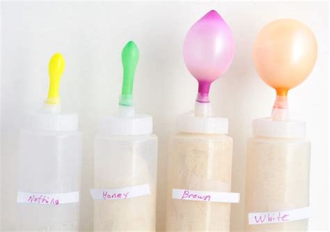 Amazingly Cool Classic Science Yeast Science Experiment Artofit