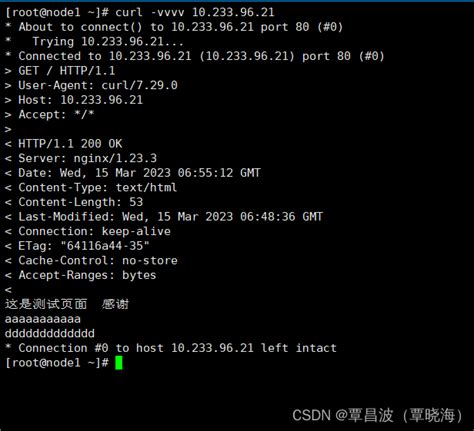Prometheus 监控 K8s Pod 的解决方案 （ Nginx，web应用 ）prometheus监控nginx Pod Csdn博客
