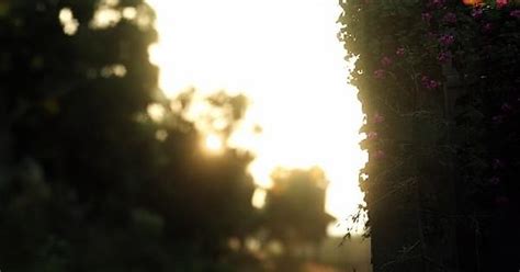 Farcry New Dawn Album On Imgur