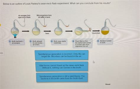 Solved Below Is An Outline Of Louis Pasteurs Swan Neck