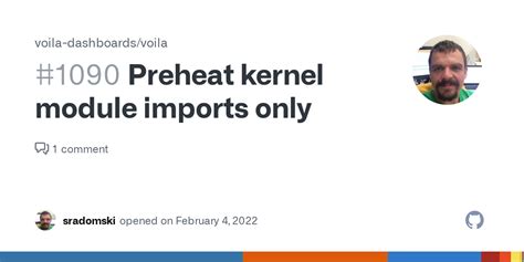 Preheat Kernel Module Imports Only · Issue 1090 · Voila Dashboards