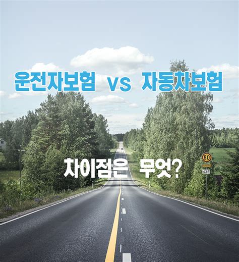 운전자보험 자동차보험 차이 제대로 알려주세요