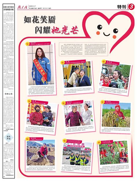 陇东报