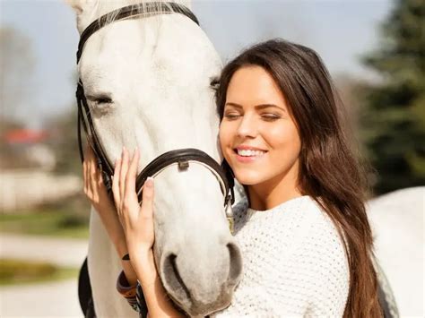 9 Signs That A Horse Trusts You What You Need To Know
