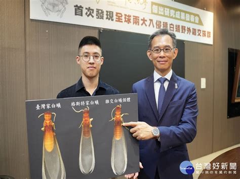 白蟻研究重大突破！興大團隊證實全球兩大入侵種白蟻 首次發現野外雜交族群