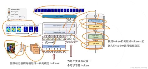 2d与3d人体关键点检测方法概览 Csdn博客