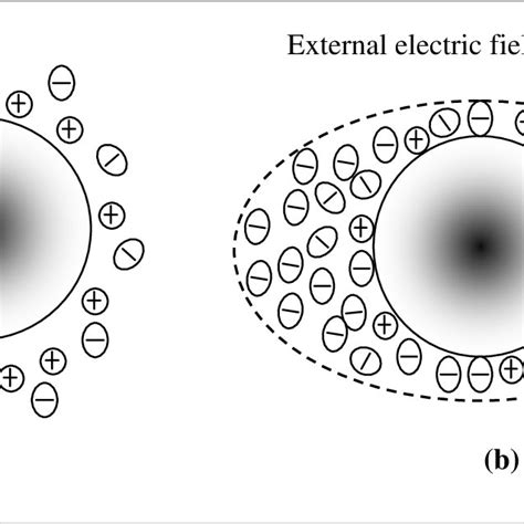 9 The Ion Charge Particle A In Uniform Charge Density B Ion Download Scientific Diagram