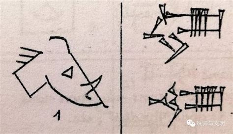 猪字的演变 蛇字的 甲骨文猪字 大山谷图库