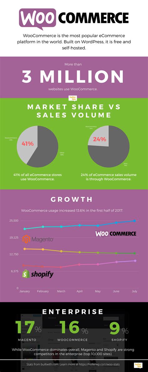 WooCommerce Statistics Infographic HollerBox
