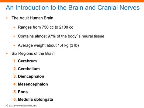 SOLUTION: 14 the brain and cranial nerves revised - Studypool