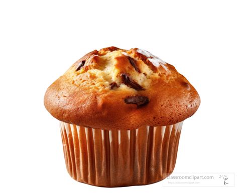 Baked Goods Photos Fresh Muffin With Chocolate Chips