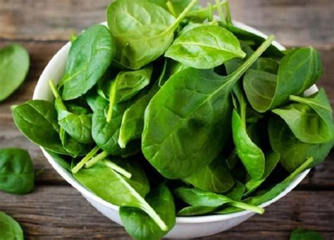 2 პროდუქტი რომელიც ენერგიული დღეგრძელების რაციონში შედის რჩევები ვივიენისგან