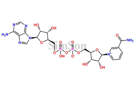 Beta Nicotinamide Adenine Dinucleotide Cas No 53 84 9 Simson