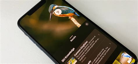 your iphone can scan images to identify and show information about art