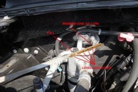 How to check fluid levels in your car - FreeAutoMechanic