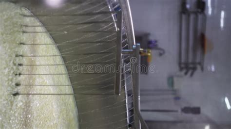 Hot Water Pour On Curd And Whey In Tank At Cheese Factory Process Of Making Parmesan Cheese