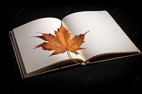 Leaf In An Open Notebook Background Autumn Season Fallen Leaves
