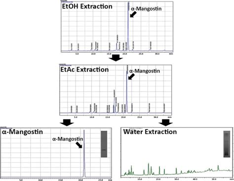 High Performance Liquid Chromatogram Of The Various Extracts From Download Scientific Diagram