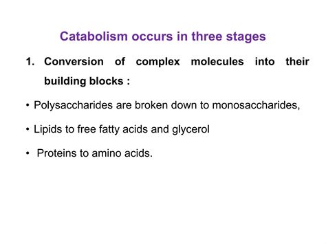 Metabolism Of Carbohydrate Part Ipptx
