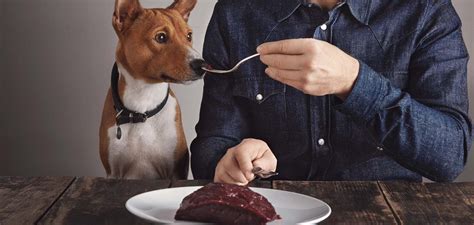 Raw Diet For Dogs 101 The Ultimate Guide Top Dog Tips