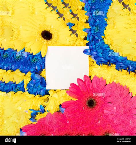 Abstract Colorful Background With Blue Yellow And Pink Flowers
