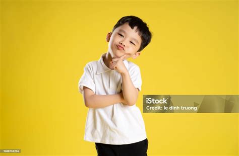 黄色い背景にポーズをとるアジアの少年の画像 スタジオ撮影のストックフォトや画像を多数ご用意 スタジオ撮影 男の子 1人 Istock