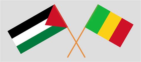 팔레스타인과 말리의 교차 플래그 Palestine Liberation Organization에 대한 스톡 벡터 아트 및 기타