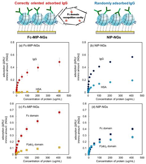 Processes Free Full Text Biosensing Applications Of Molecularly