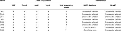 Identification Of Cronobacter Spp And Cronobacter Sakazakii By