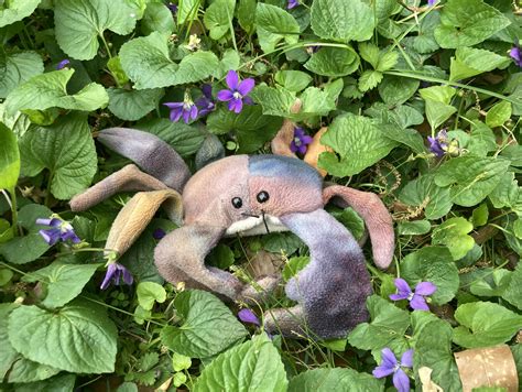 Its A Rainy Cold Day But Not In Claudeland 🌸 Rclaudethecrab