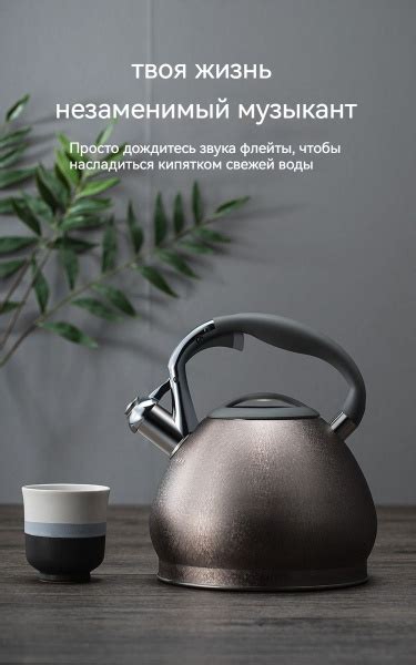 Свисток для чайника, 3 л купить на OZON по низкой цене (1749367256)