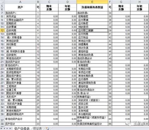 Sap 中国财务报表格式 Idcnbsais 咨询说