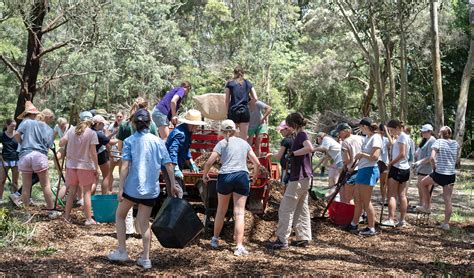 Shaping Character Building Future Leaders Frensham Schools