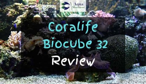 Coralife Biocube 32 Review Worth The Money Aqua Movement