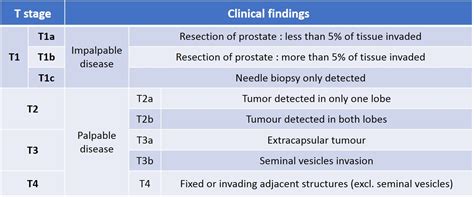 Nccn Prostate Cancer