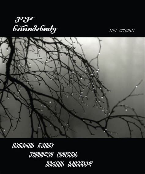 ვაჟა ნარიმანიძე ლექსები