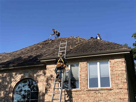 How To Identify And Repair Asphalt Shingle Roof Damage Rose Roofing