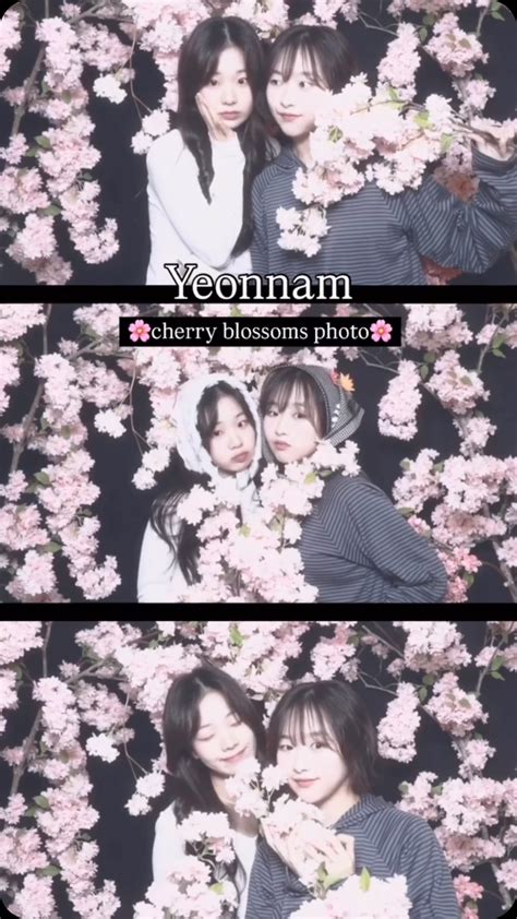 윗프 뚝딱이들 떠먹여주는 사진 꿀팁🍯🍡 봄 분위기 낭낭 벚꽃 포토부스 추천🌸 📍서울 마포구 동교로29길 40 1층 •예쁜 밤 벚꽃 느낌으로 촬영 할 수 있는 모노맨션