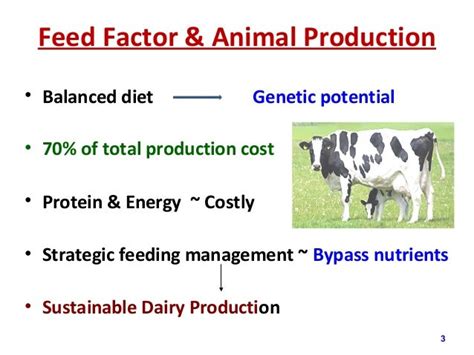 Bypass Fat And Bypass Protein In Livestock Feeding