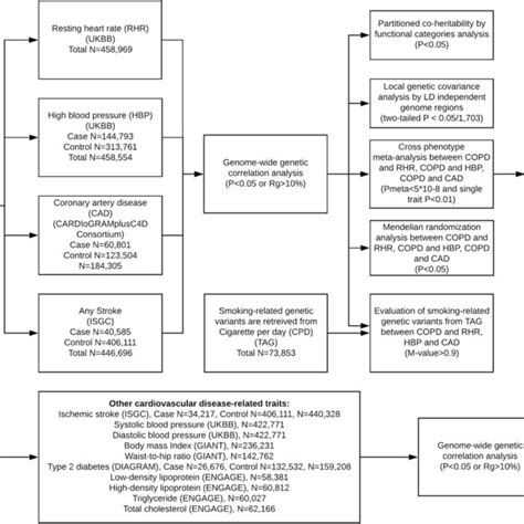 Plots Depicting Local Genetic Correlation Top Genetic Covariance Download Scientific Diagram