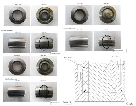 Packing Ring Performance Test Report Magpie